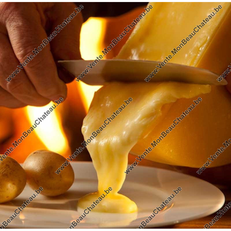 Vente Appareil raclette traditionnel breziere 1/4 de roue